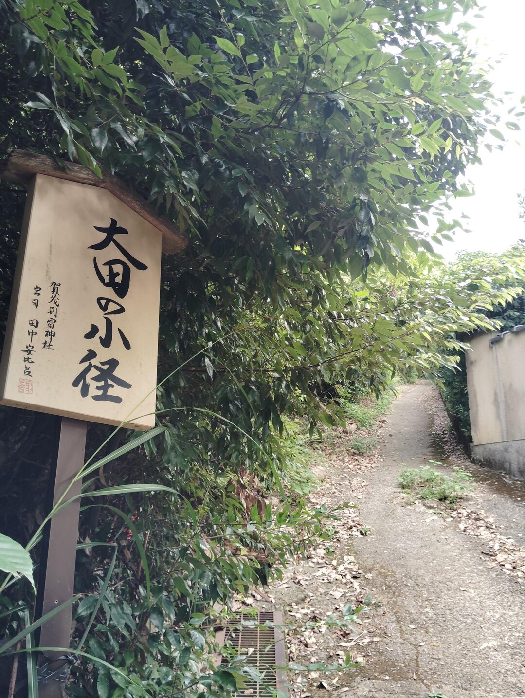 大田山〜京都市内の新規登録山のPH活動😎 その1/6 / なかさん😎さんの京都一周トレイルの活動データ | YAMAP / ヤマップ