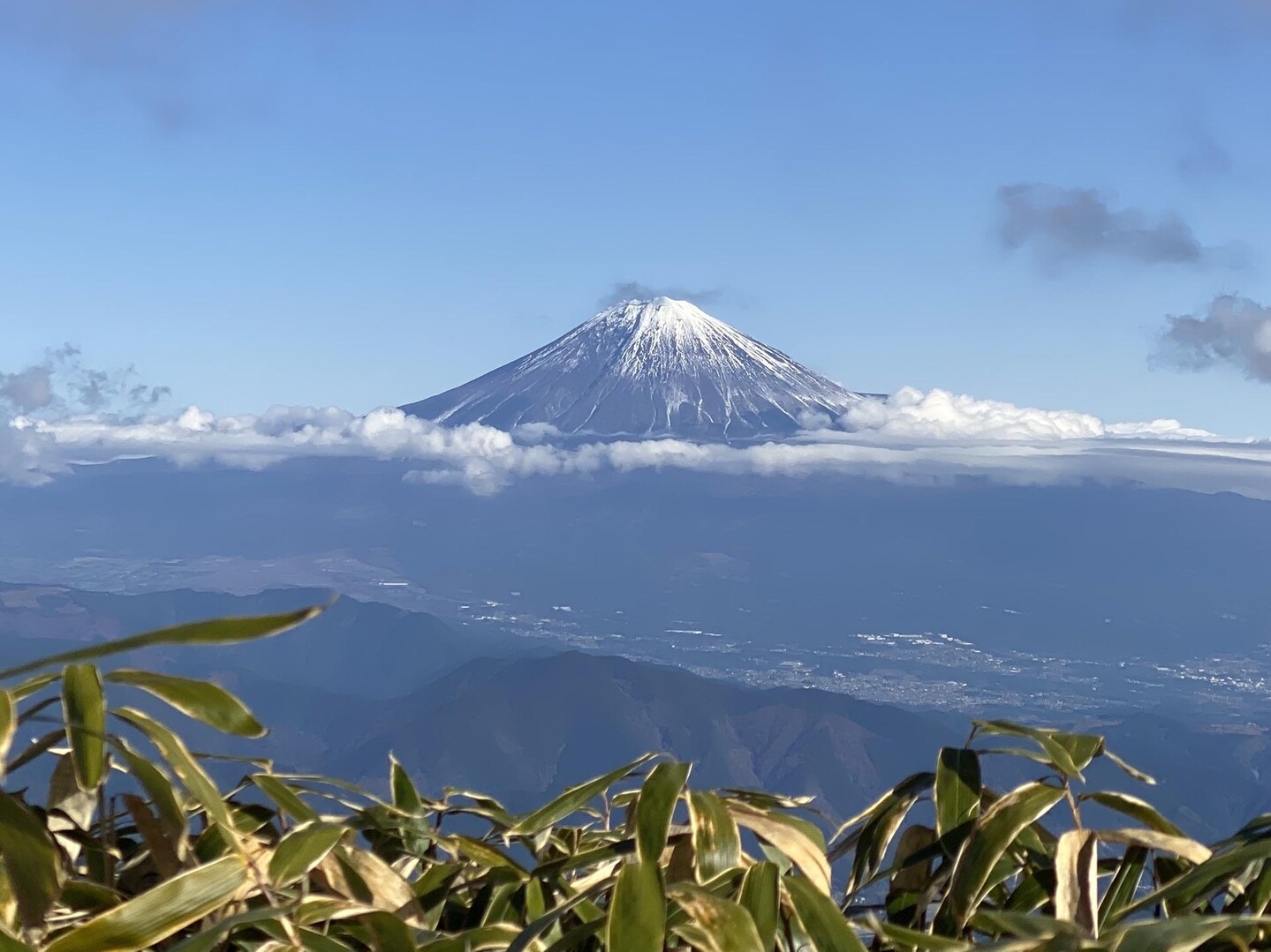 うつろぎ山・青笹山 / ミさんの青笹山の活動データ | YAMAP / ヤマップ