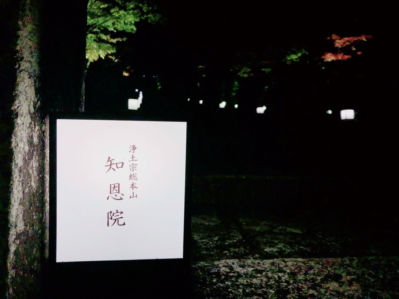 ひさびさ、京都にお暇🍁紅葉はいかなーと... / rioさんのモーメント | YAMAP / ヤマップ