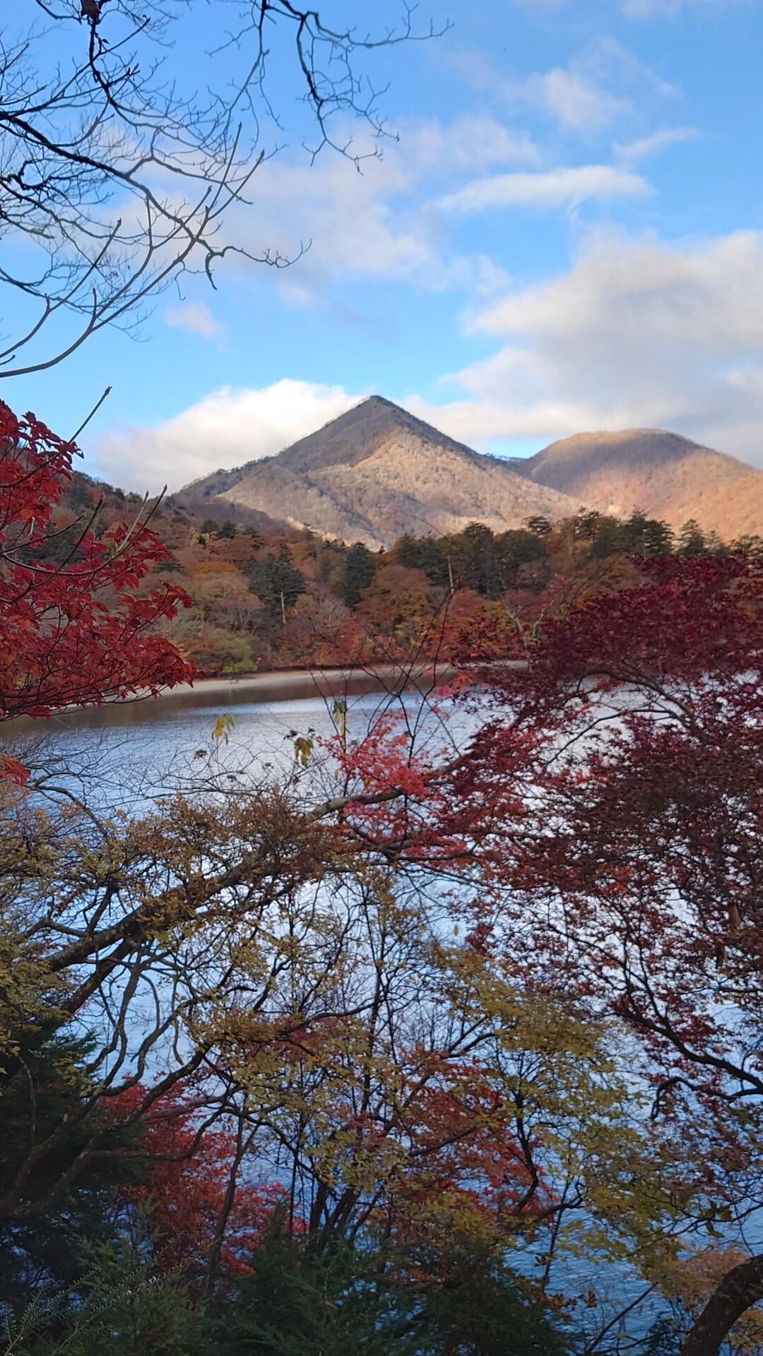 社山・半月山 / Mr.Makotoさんの社山・半月山の活動データ | YAMAP / ヤマップ