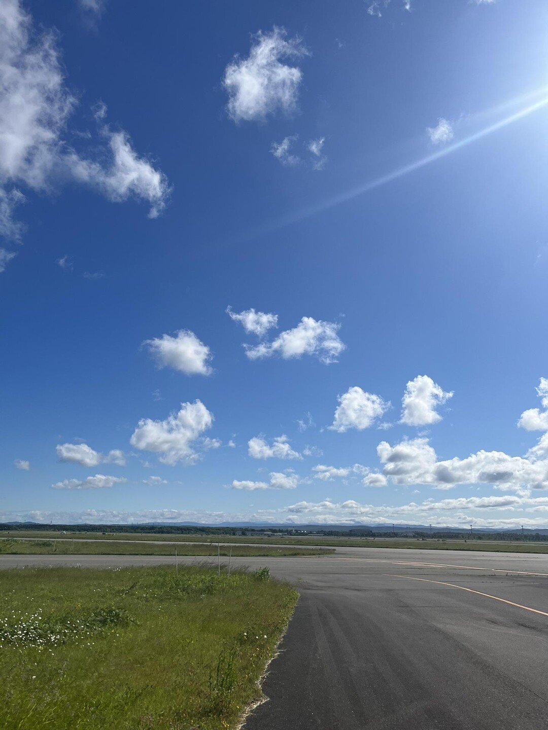 今日も良い天気でしたー。 お花も🌸🌼... / sasaさんのモーメント | YAMAP / ヤマップ