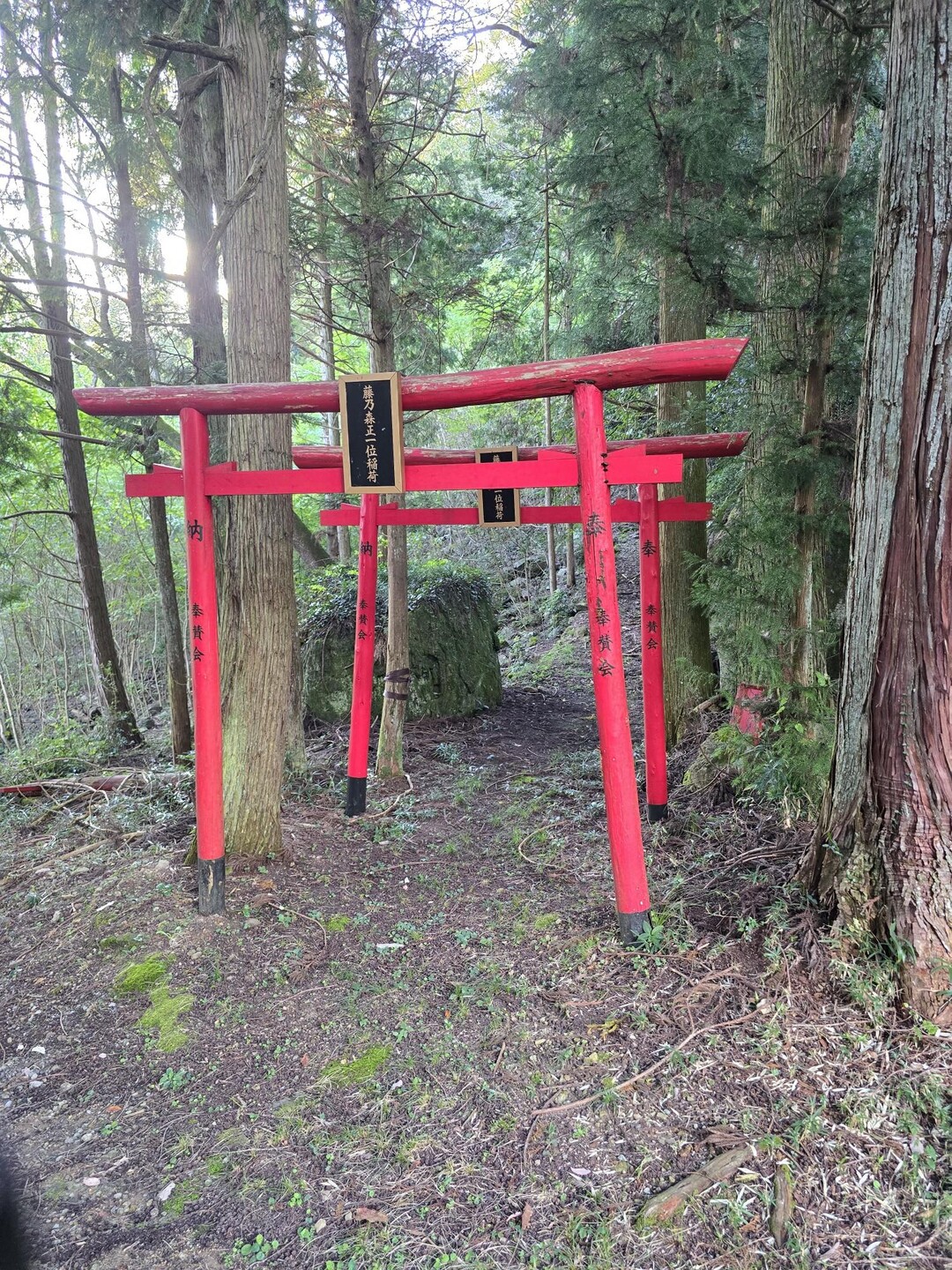 城山・塩野尾山 / mtc0190さんの塩野尾山・塩垂山・三星山の活動データ | YAMAP / ヤマップ