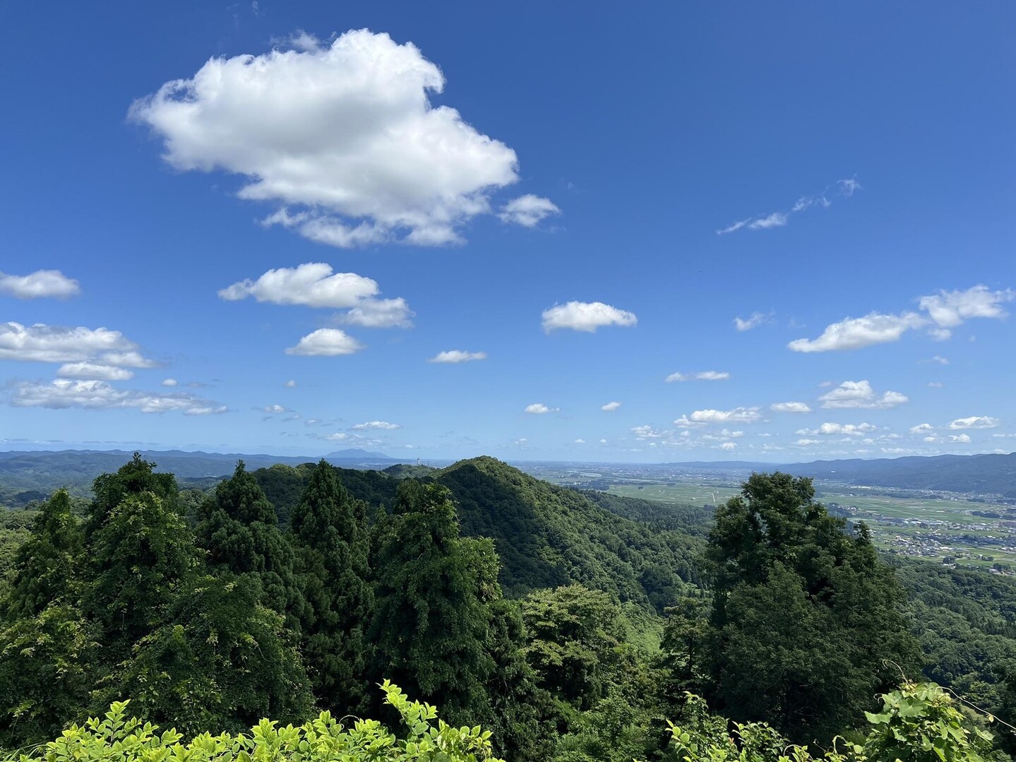こんなこともあるんですね 時水城山-2023-06-19 / toyoさんの時水城山・丸山の活動データ | YAMAP / ヤマップ