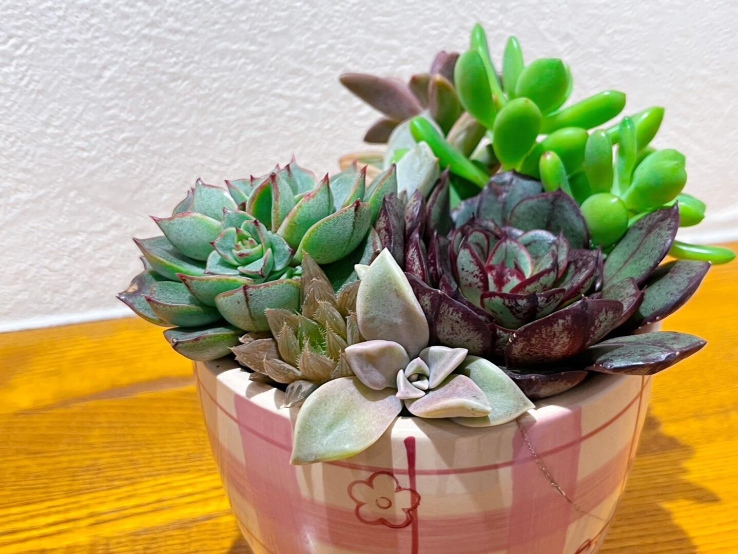 寒さから守るため、あちこちに散らばって... / kazさんのモーメント | YAMAP / ヤマップ