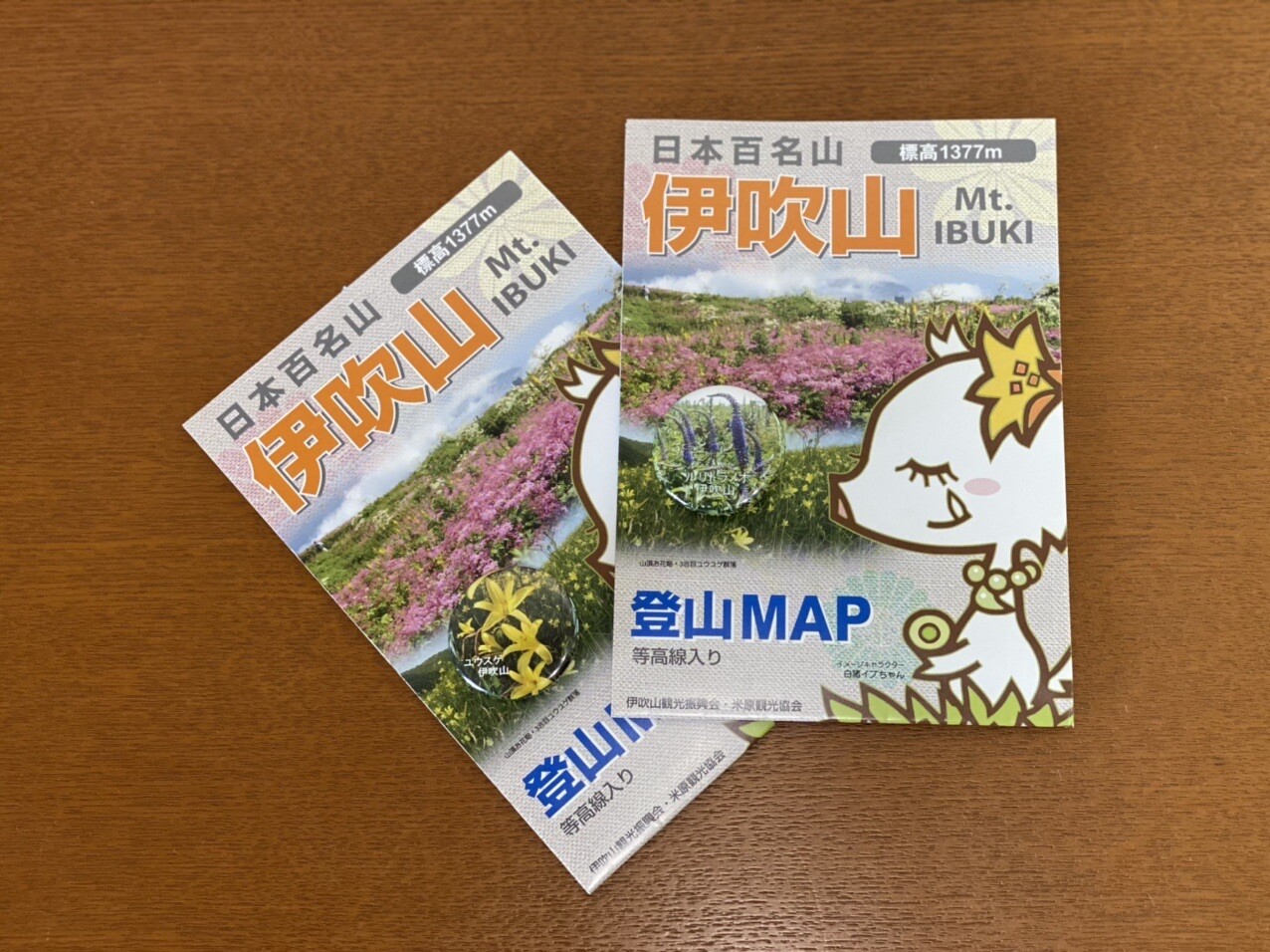 昨日の片付けしてたら、登山口でもらった地... / Peronchoさんのモーメント | YAMAP / ヤマップ