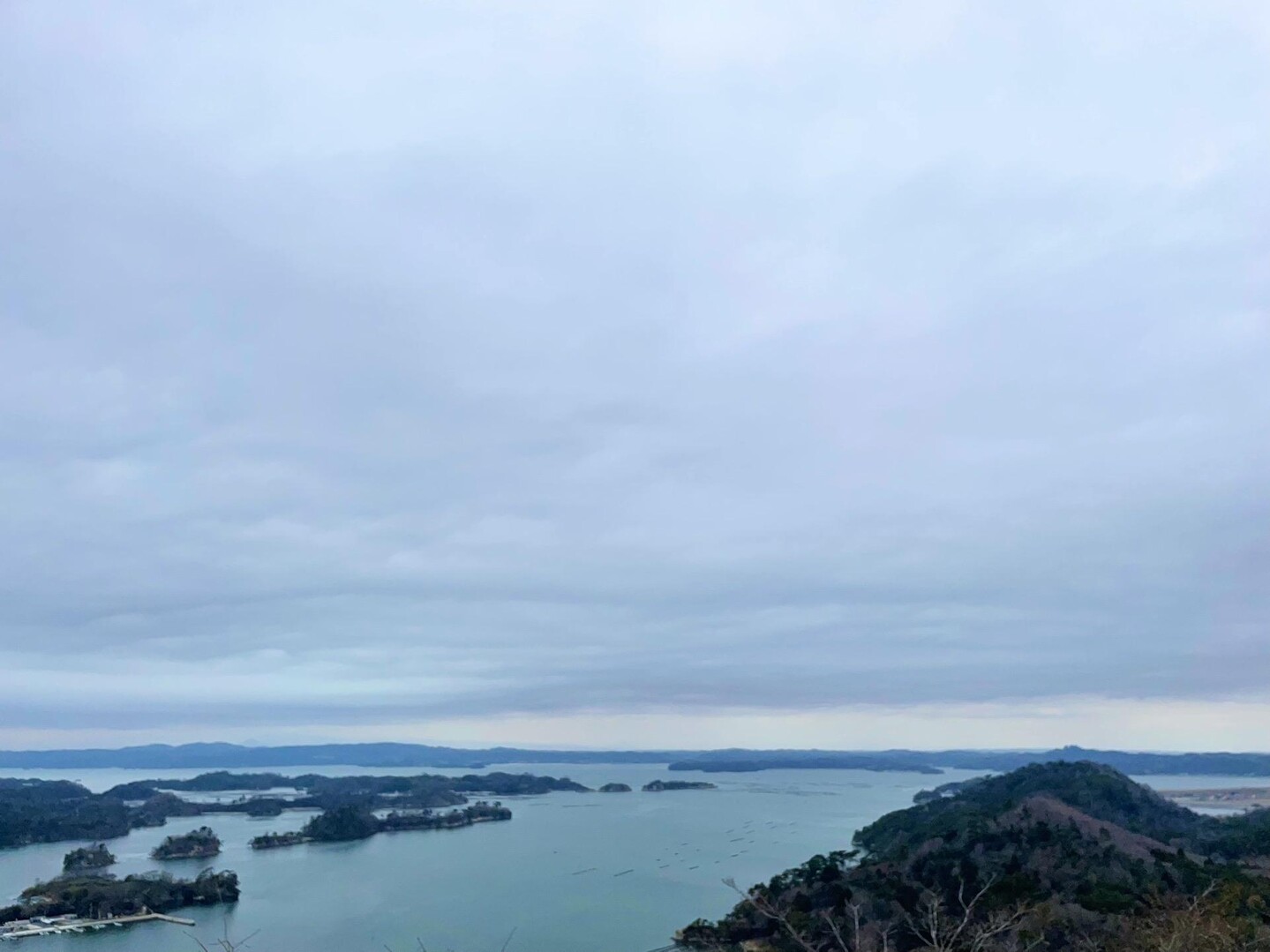 大高森 / meguさんの大高森の活動データ | YAMAP / ヤマップ