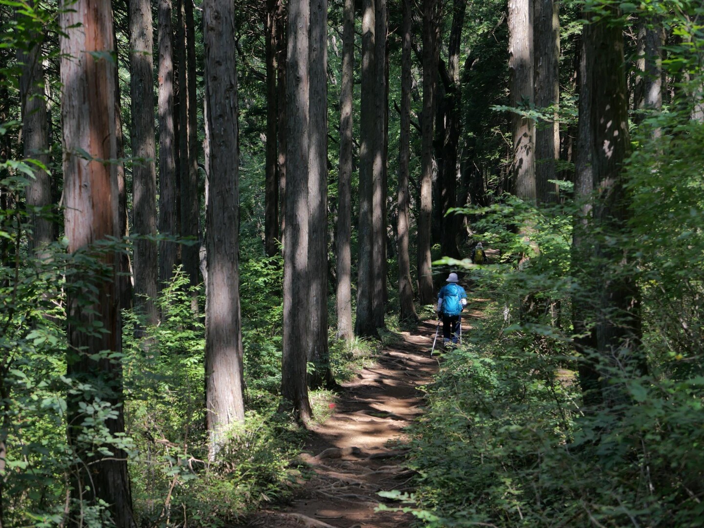 つい先日、紅葉を待ちきれずに登ってきた陣... / momoさんのモーメント | YAMAP / ヤマップ
