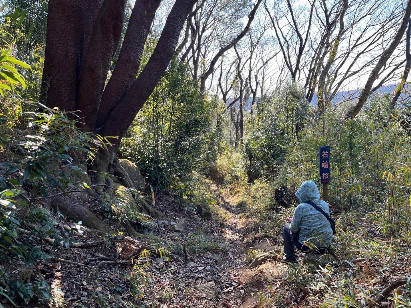 Gomaさんの投稿したフィールドメモ | YAMAP / ヤマップ