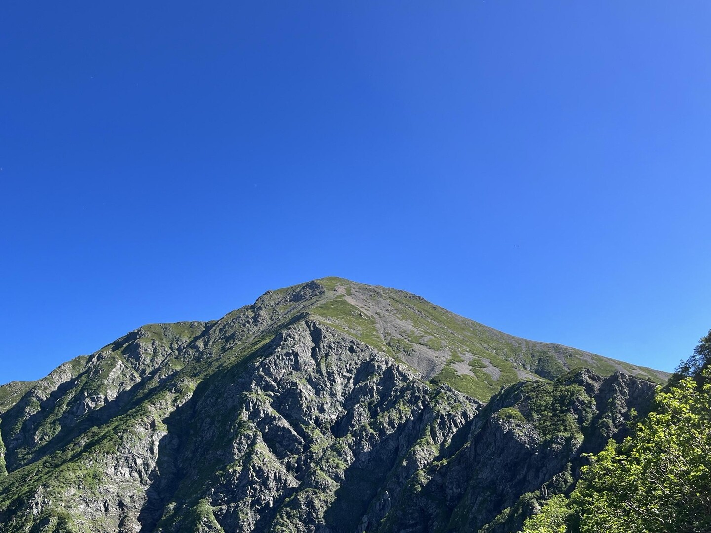 小聖岳・聖岳（前聖岳）・奥聖岳#73 / pepperさんの聖岳・大沢岳・光岳の活動データ | YAMAP / ヤマップ