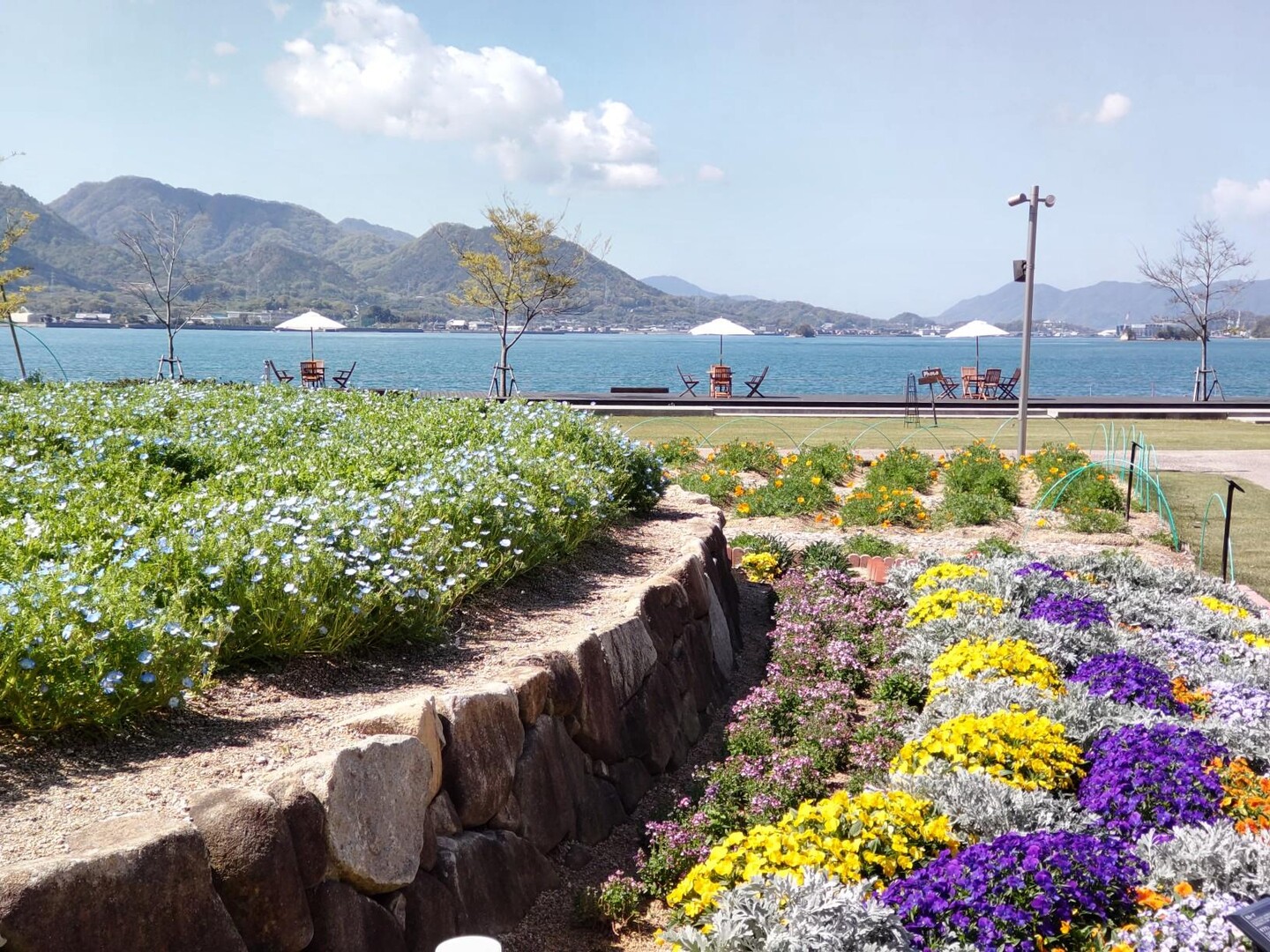 しまなみ海道 2日目 生口島から尾道 2023-04-09 / ミーさんのランニングの活動データ | YAMAP / ヤマップ