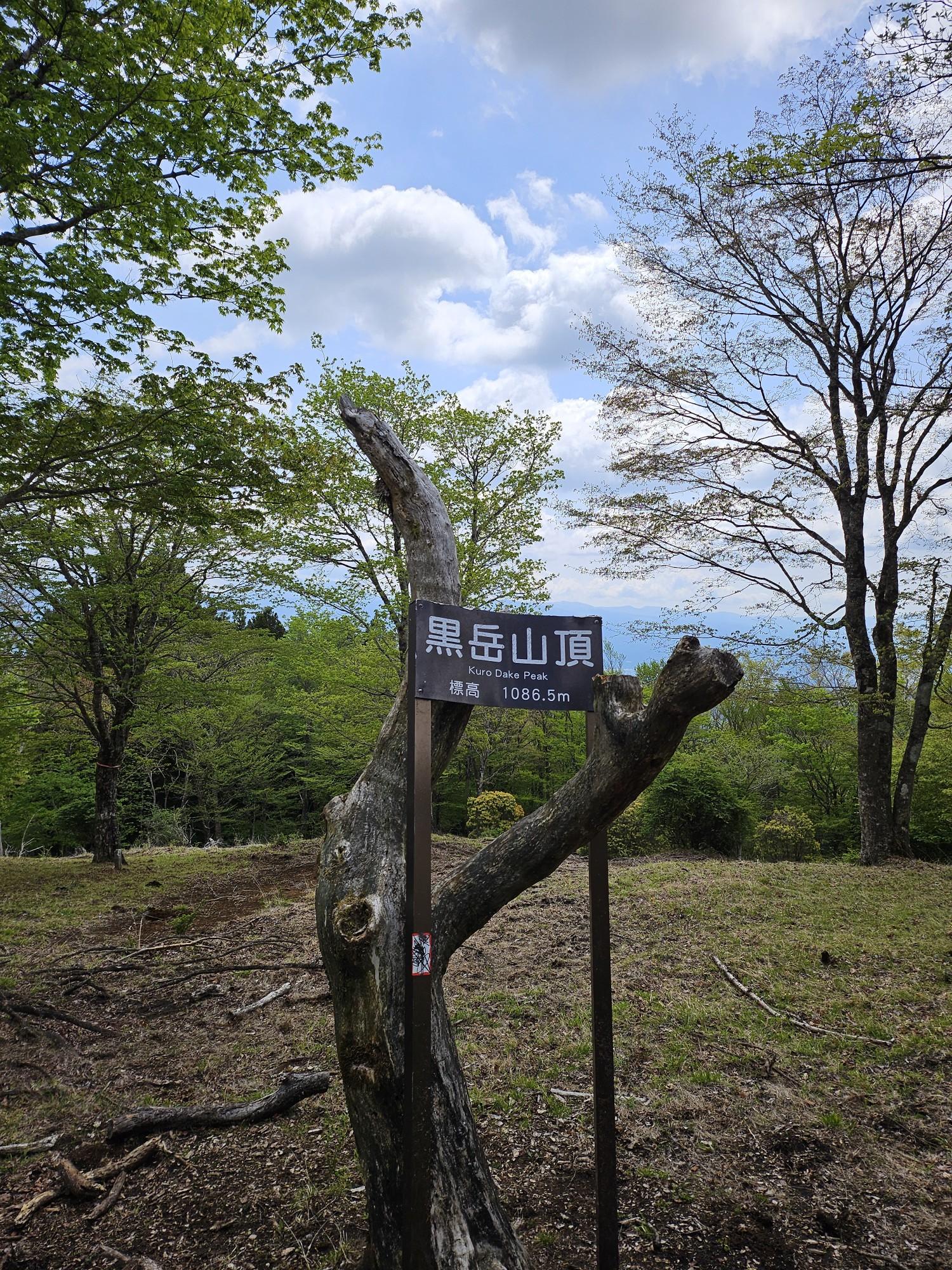 黒岳は｢雲だけ｣ / イカロスのつばささんのFUJISAN LONG TRAIL（愛鷹・富士南麓エリア SOUTH）の活動データ | YAMAP / ヤマップ