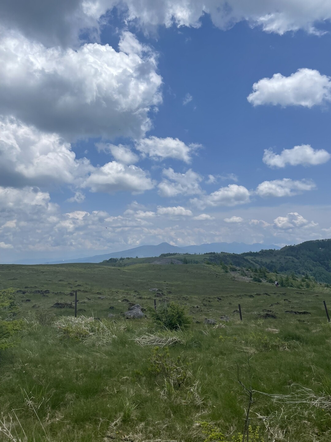 ③美ヶ原（王ヶ頭） / sinnnさんの美ヶ原の活動データ | YAMAP / ヤマップ