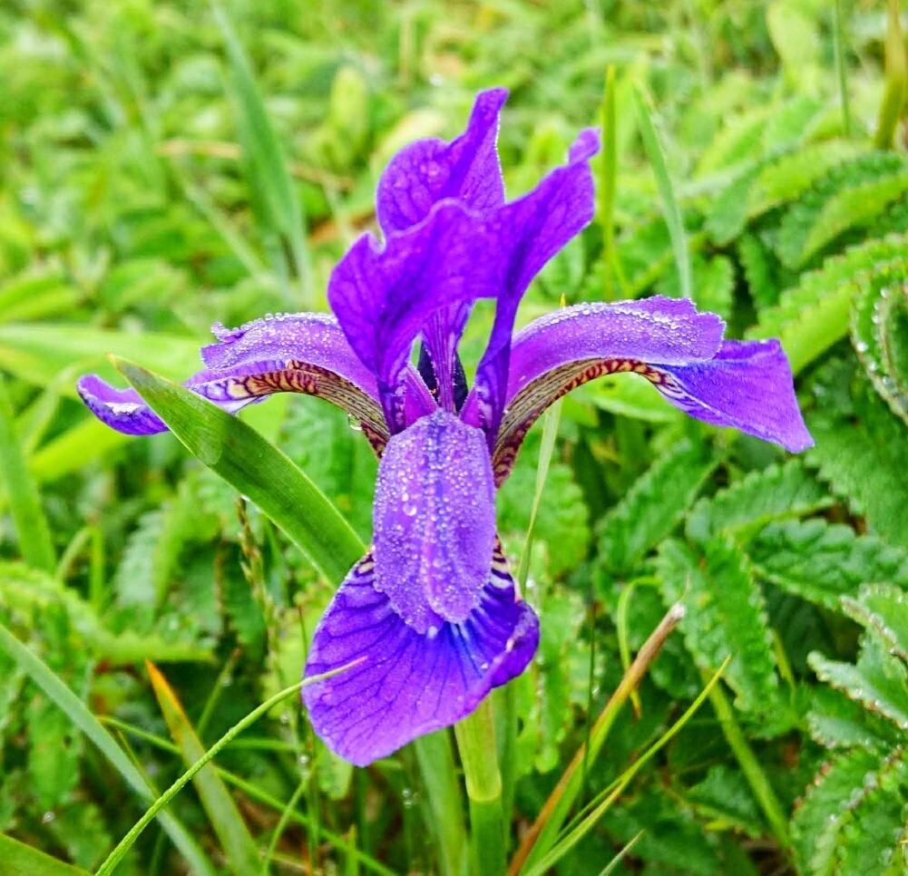 This is my memory🤟 / ミヒルさんのモーメント | YAMAP / ヤマップ