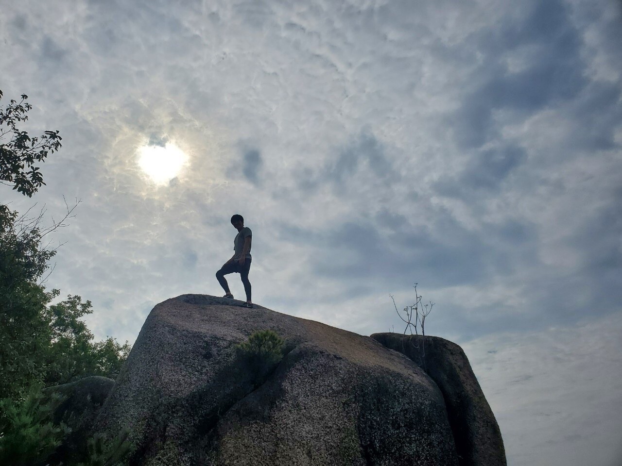 せんこう頭部・天狗岩 / mirereさんの絵下山・天狗城山・森山の活動データ | YAMAP / ヤマップ