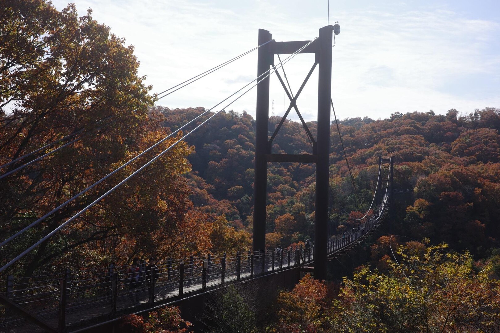 普見山（北生駒山）・馬が嶺・日南山 / ymさんの交野山・国見山の活動日記 | YAMAP / ヤマップ