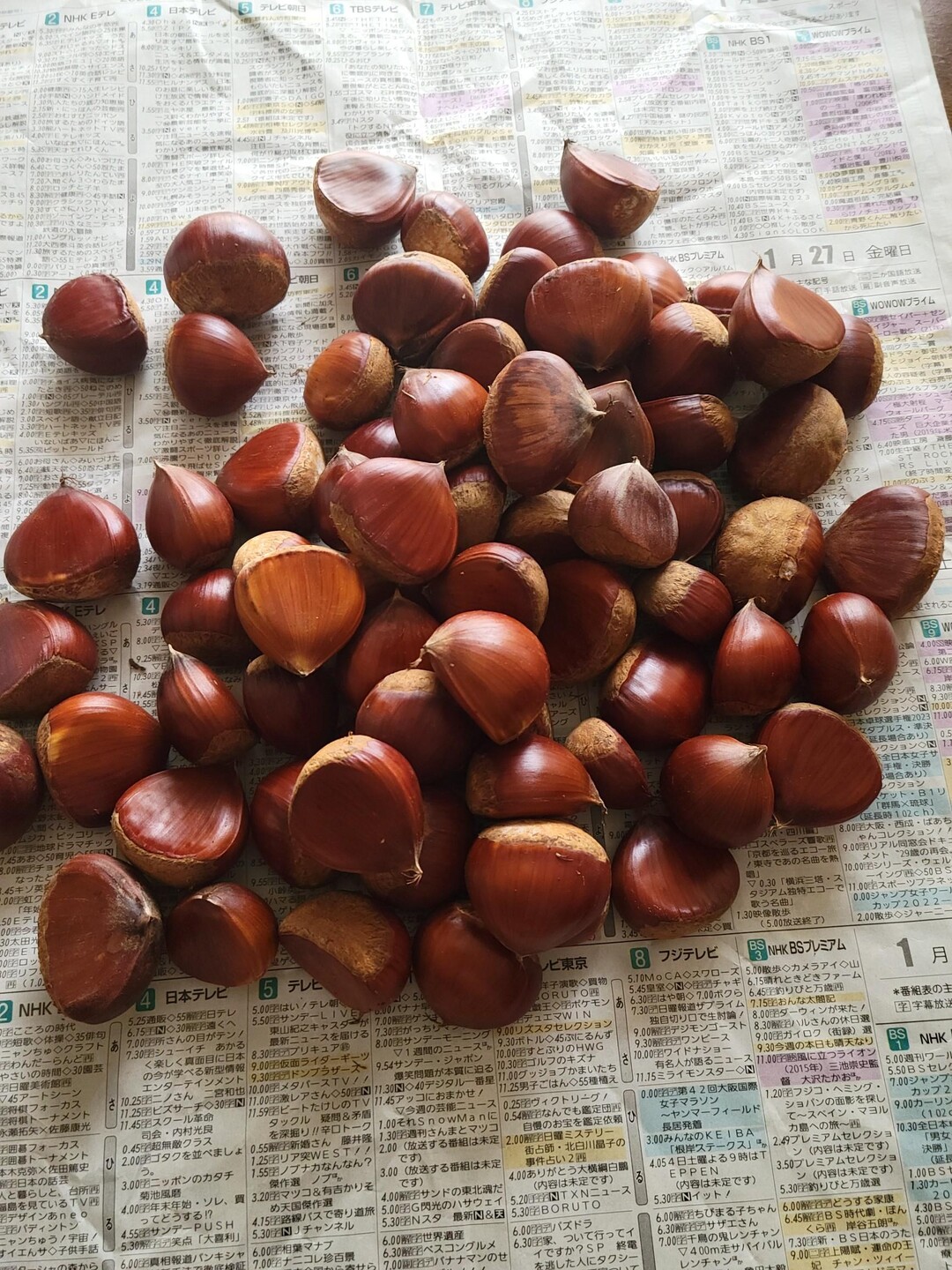 今日は里山で栗拾いに… ️ 蒸し暑い中、... / kazuさんのモーメント | YAMAP / ヤマップ