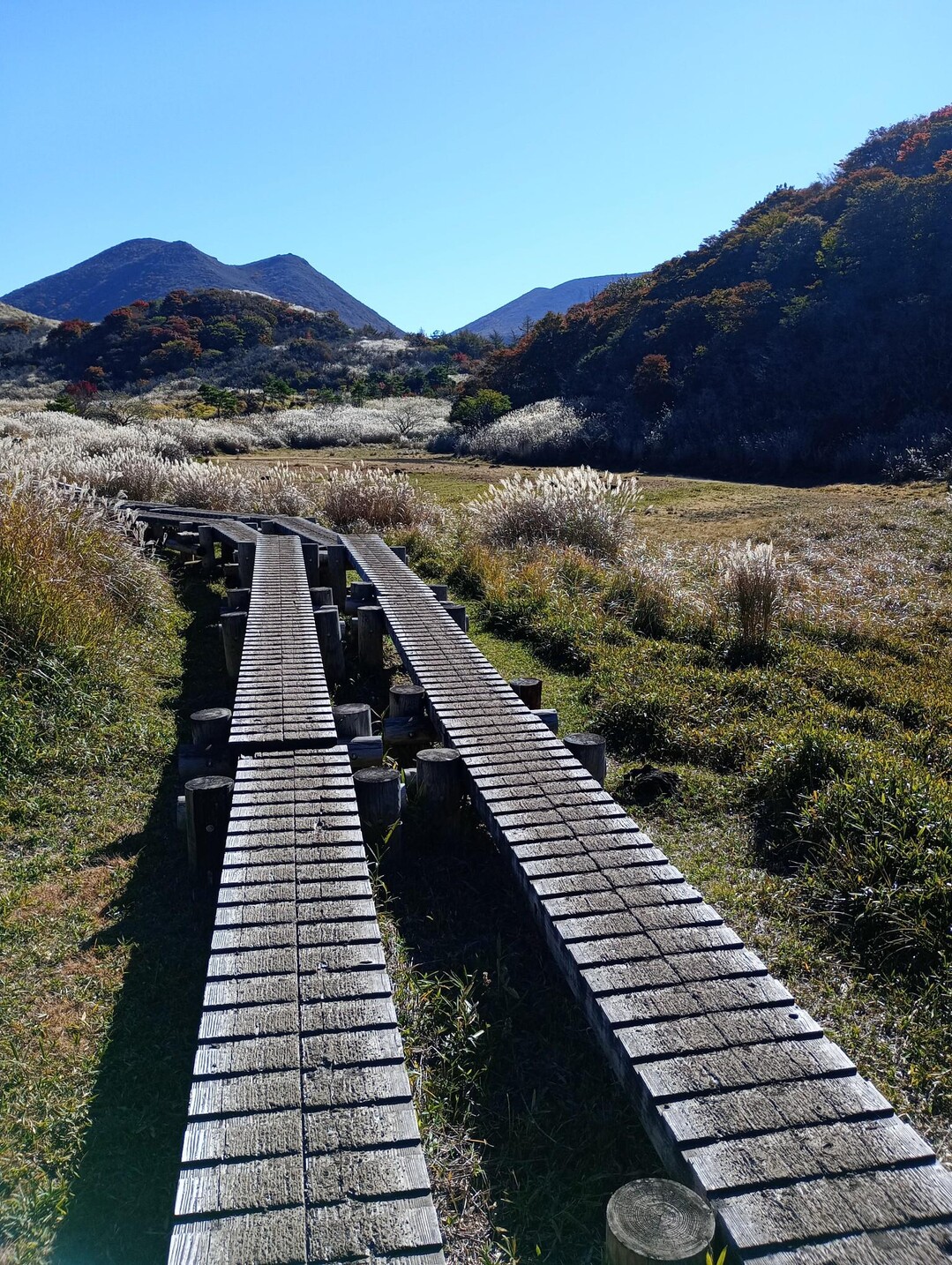 大船山 / URA _Z3さんの九重山（久住山）・大船山・星生山の活動データ | YAMAP / ヤマップ