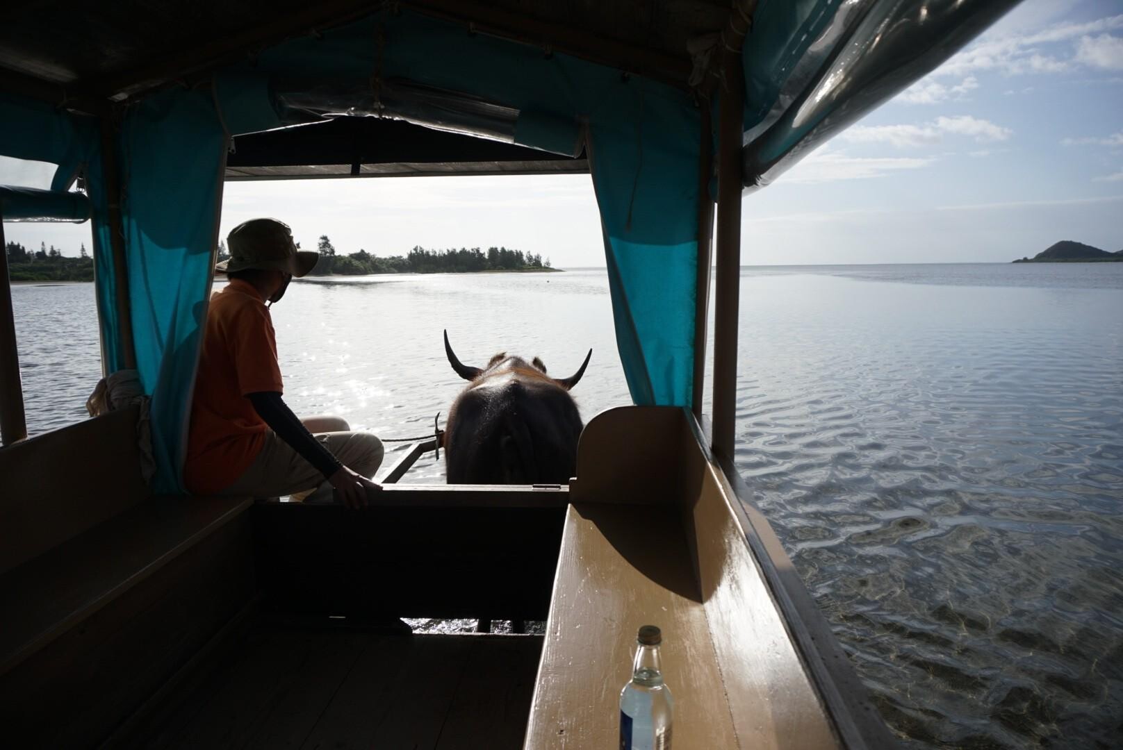 【沖縄】八重山 Island Hopping / アマっちさんのトレイルランニングの活動データ | YAMAP / ヤマップ
