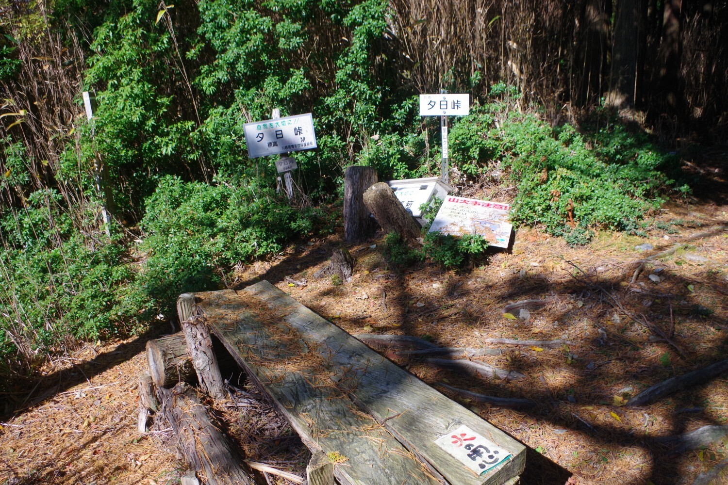 標高1,000mを目指す旅、夕日峠 / でんさんの春埜山の活動データ | YAMAP / ヤマップ