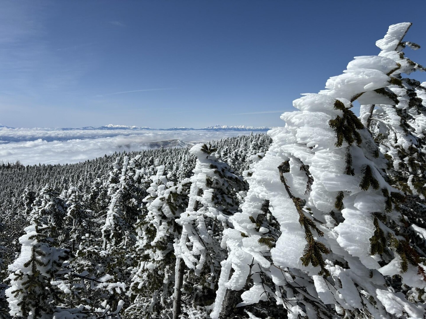 北横岳ってこんな人多いのか / Issaさんの蓼科山・横岳・縞枯山の活動データ | YAMAP / ヤマップ