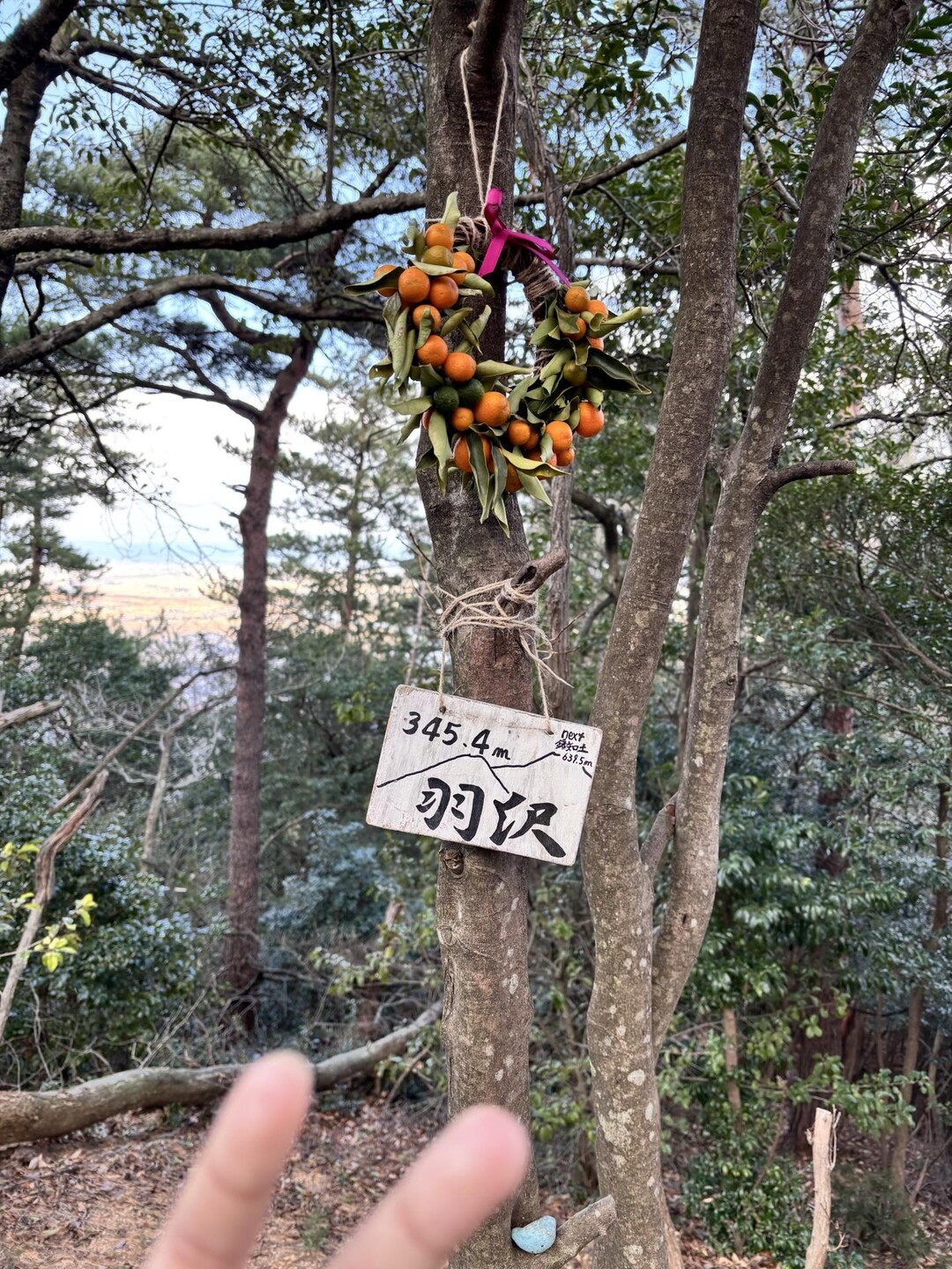 羽沢 / nobicoさんの多度山・美濃松山・石津御嶽の活動データ | YAMAP / ヤマップ