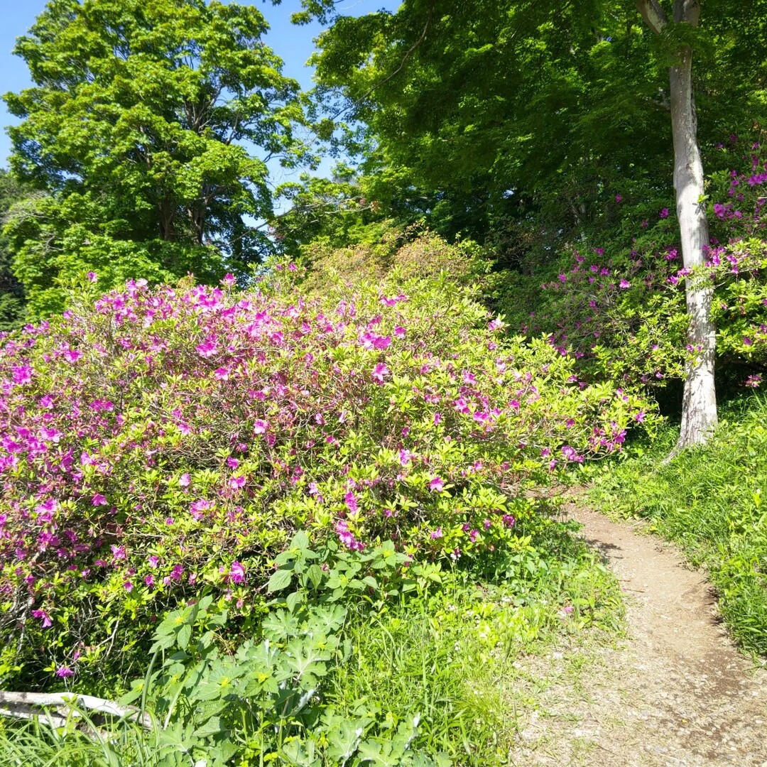 GWも終わった5月8日ツーリングしながら... / Mt.ウーバー、さんのモーメント | YAMAP / ヤマップ