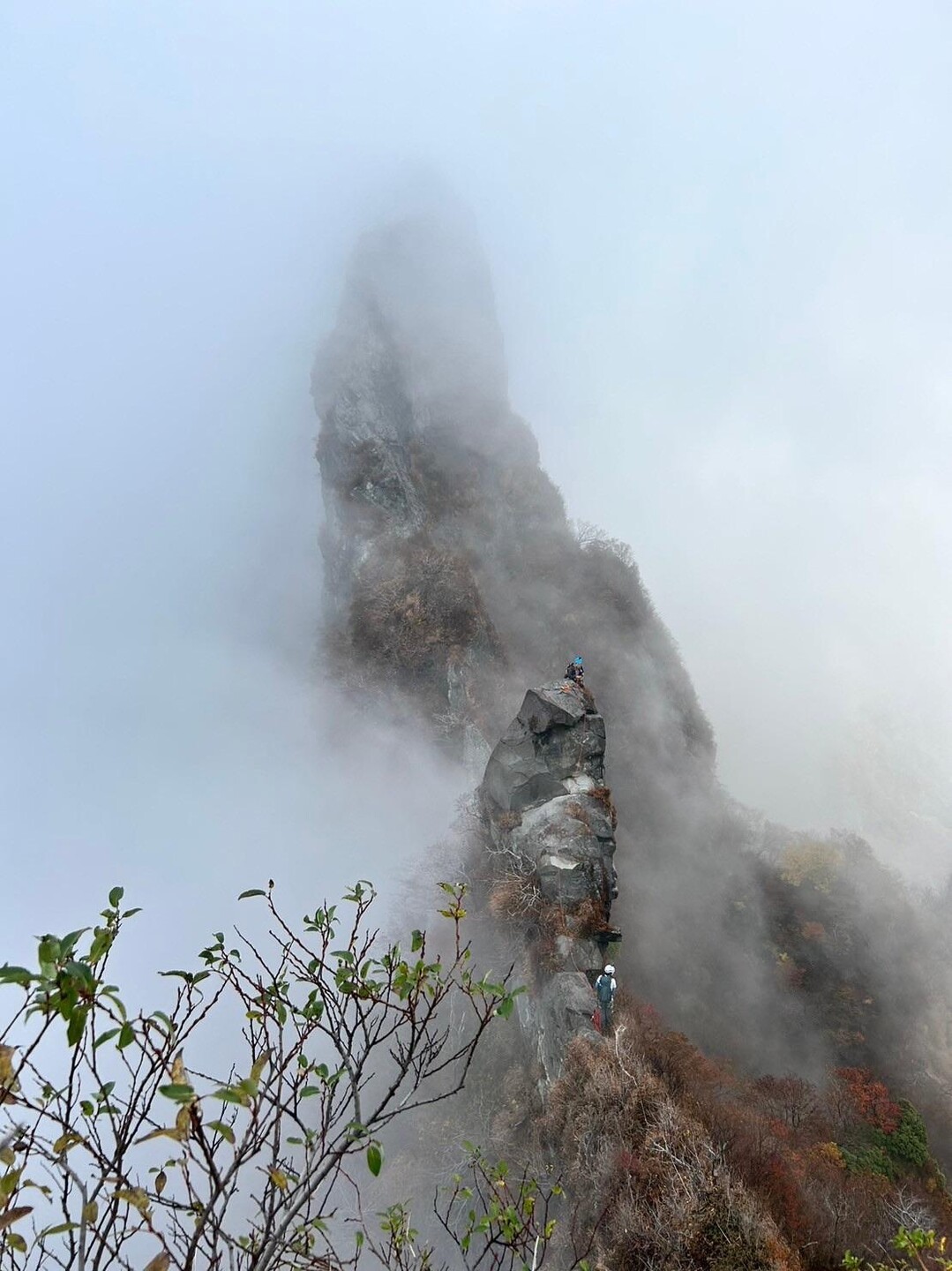 阿蘇根子岳天狗峰！ / Yamaji88さんの阿蘇山・高岳・根子岳の活動日記 | YAMAP / ヤマップ