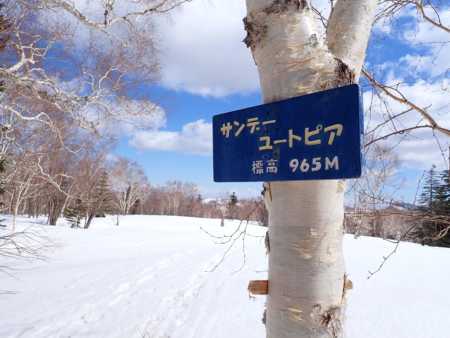 つげ山から奥手稲山 / moon-riverさんの手稲山・奥手稲山の活動データ | YAMAP / ヤマップ