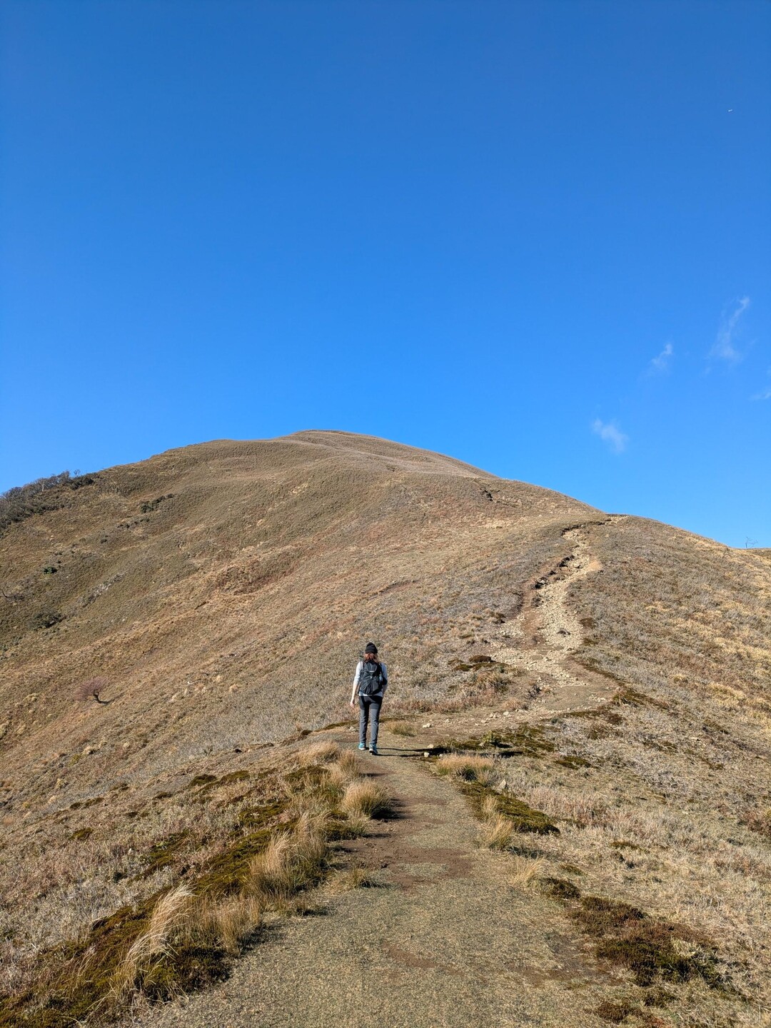 竜ヶ岳(石榑峠〜小峠〜中道〜竜ヶ岳周回) / AKIさんの竜ヶ岳の活動日記 | YAMAP / ヤマップ