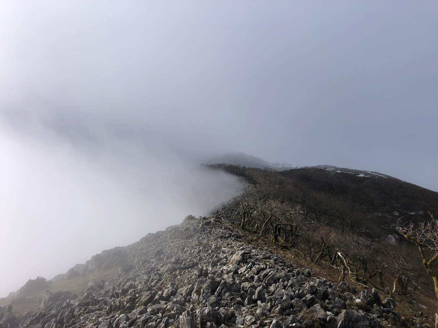 南霊岳・霊仙山最高点・霊仙山・経塚山 / tarohsanさんの霊仙山の活動日記 | YAMAP / ヤマップ
