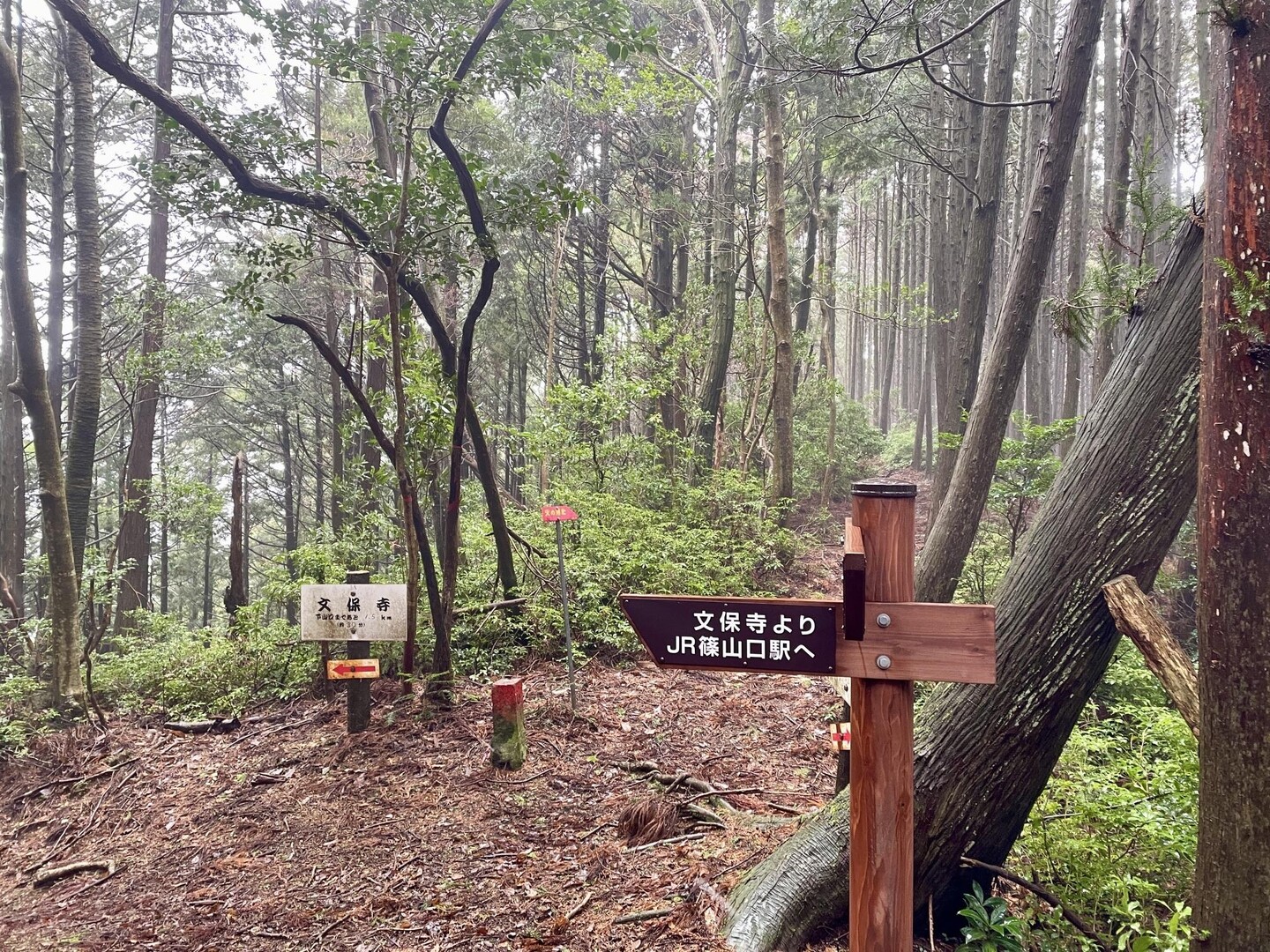 curiさんの投稿したフィールドメモ | YAMAP / ヤマップ