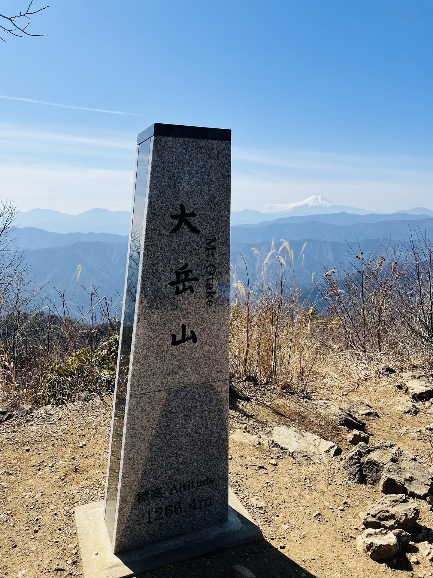 短くても起伏が楽しい縦走路〜鋸山・大岳山・御岳山 / publiusさんの大岳山・御岳山・御前山の活動データ | YAMAP / ヤマップ