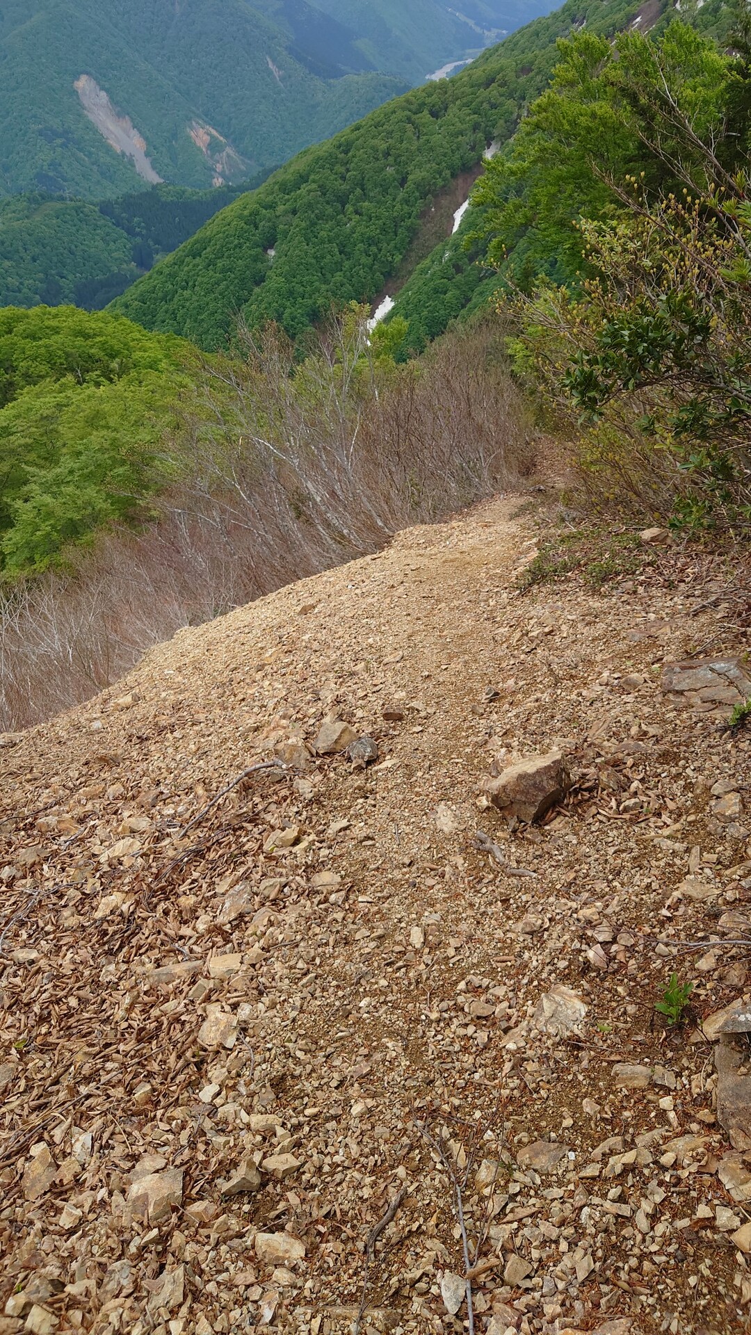 ヒレカツさんの投稿したフィールドメモ | YAMAP / ヤマップ
