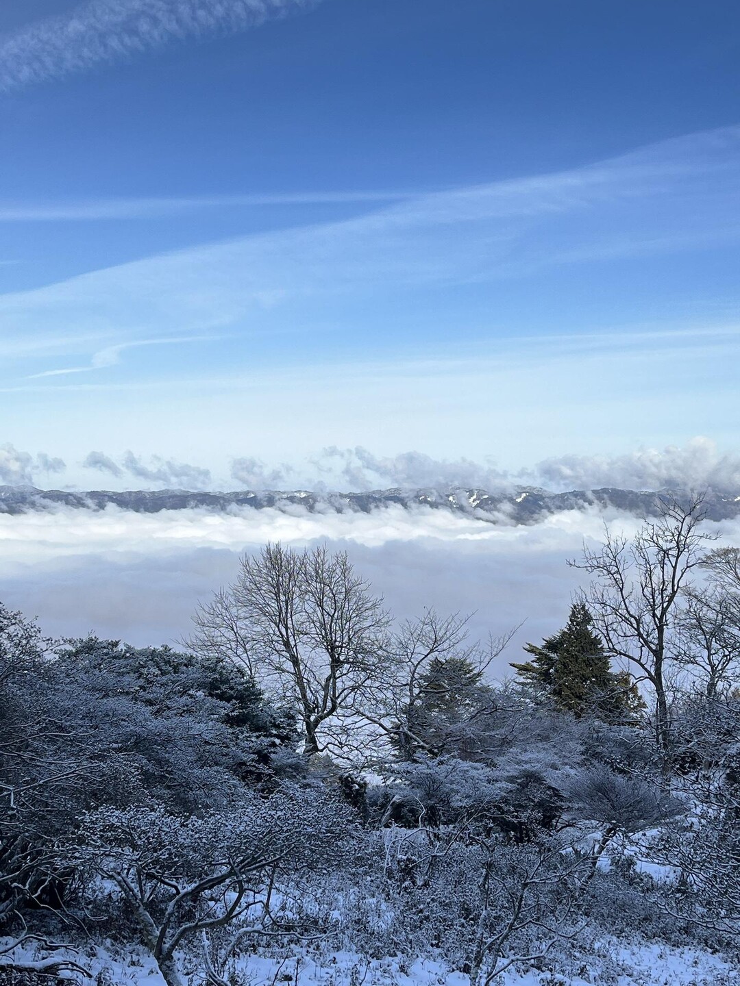 クリスマス🤶は京都トレイル北山東部 / gumiさんの京都一周トレイルの活動データ | YAMAP / ヤマップ