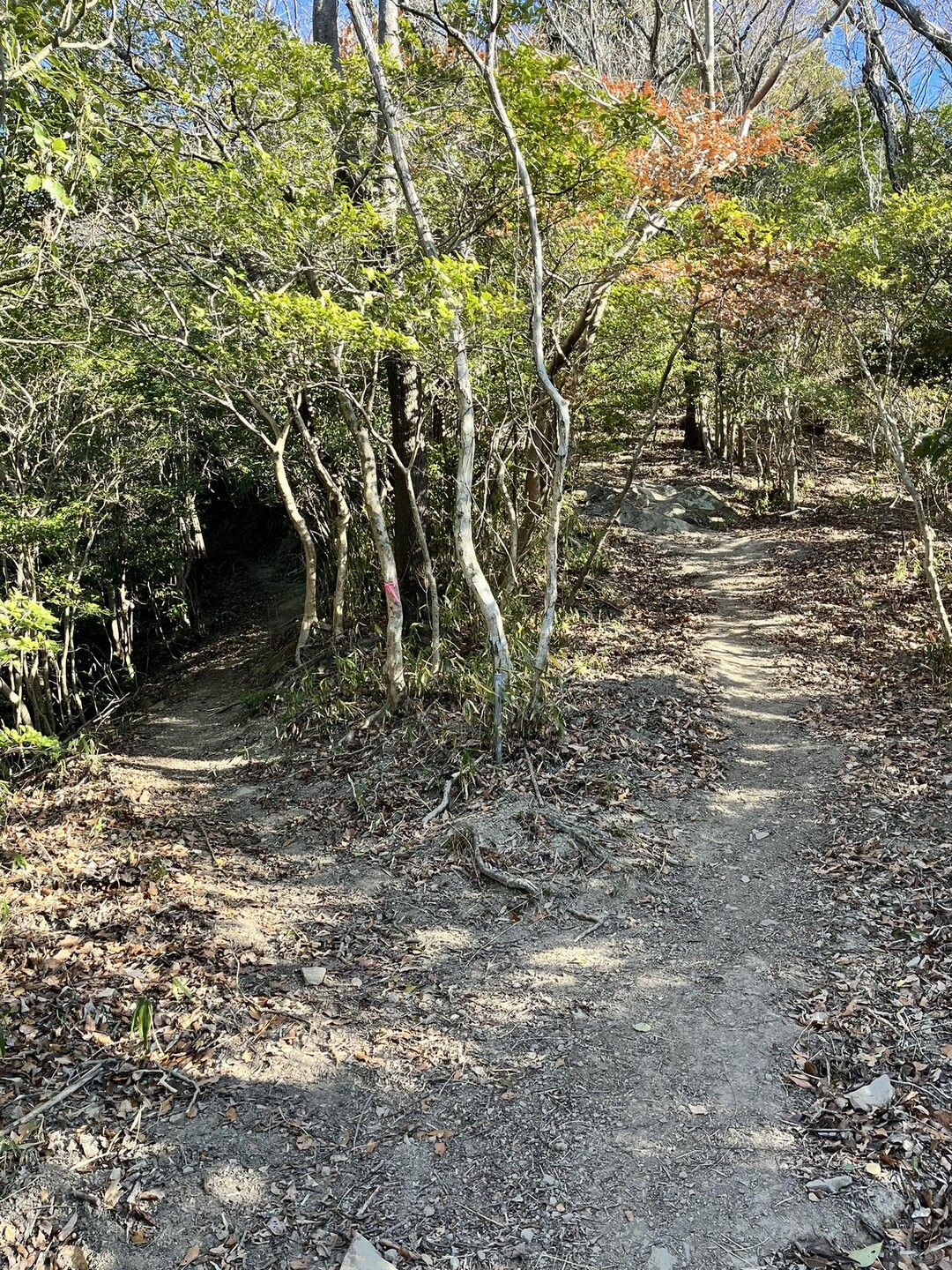 e nakaさんの投稿したフィールドメモ | YAMAP / ヤマップ