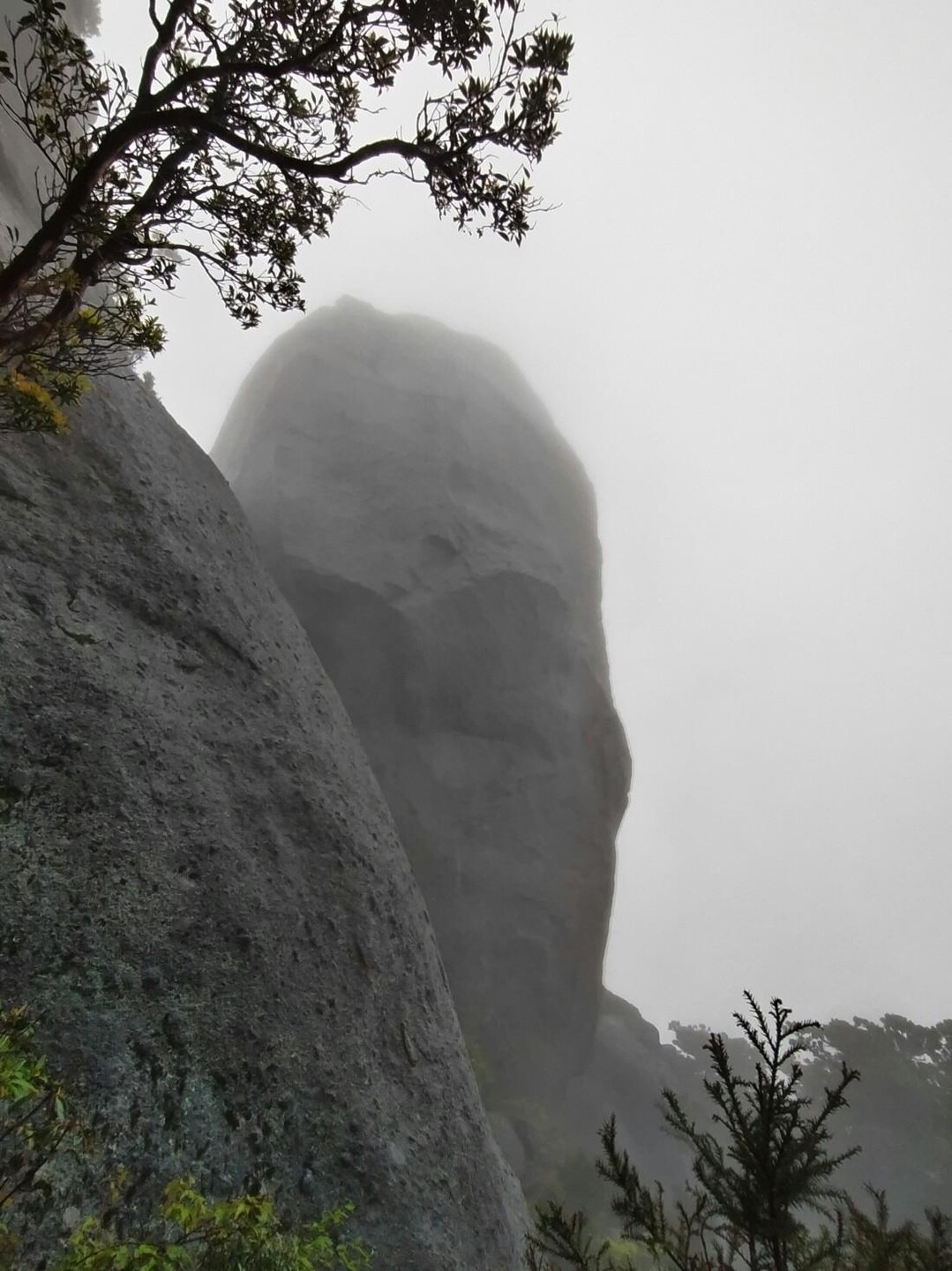太忠岳 / SG-FRさんの屋久島・宮之浦岳の活動データ | YAMAP / ヤマップ