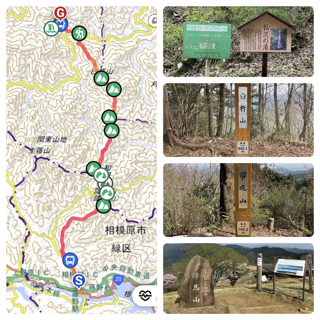 藤野駅→檜原村-2023-04-05 / tsk-chaponさんの臼杵山・市道山・刈寄山の活動データ | YAMAP / ヤマップ