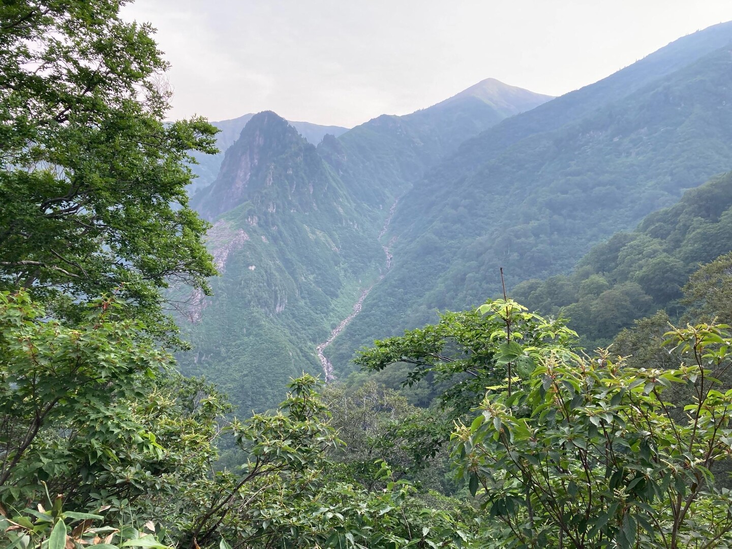新潟遠征初日 雨を避けて巻機山へ / assiさんの巻機山・割引岳・金城山の活動データ | YAMAP / ヤマップ