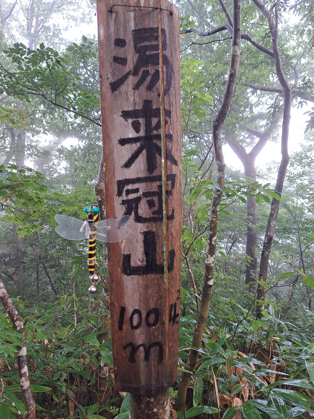 活動再開は冠山コンプリート 湯来冠山 宿題も回収 ️ / DSHさんの小室井山・湯来冠山の活動データ | YAMAP / ヤマップ