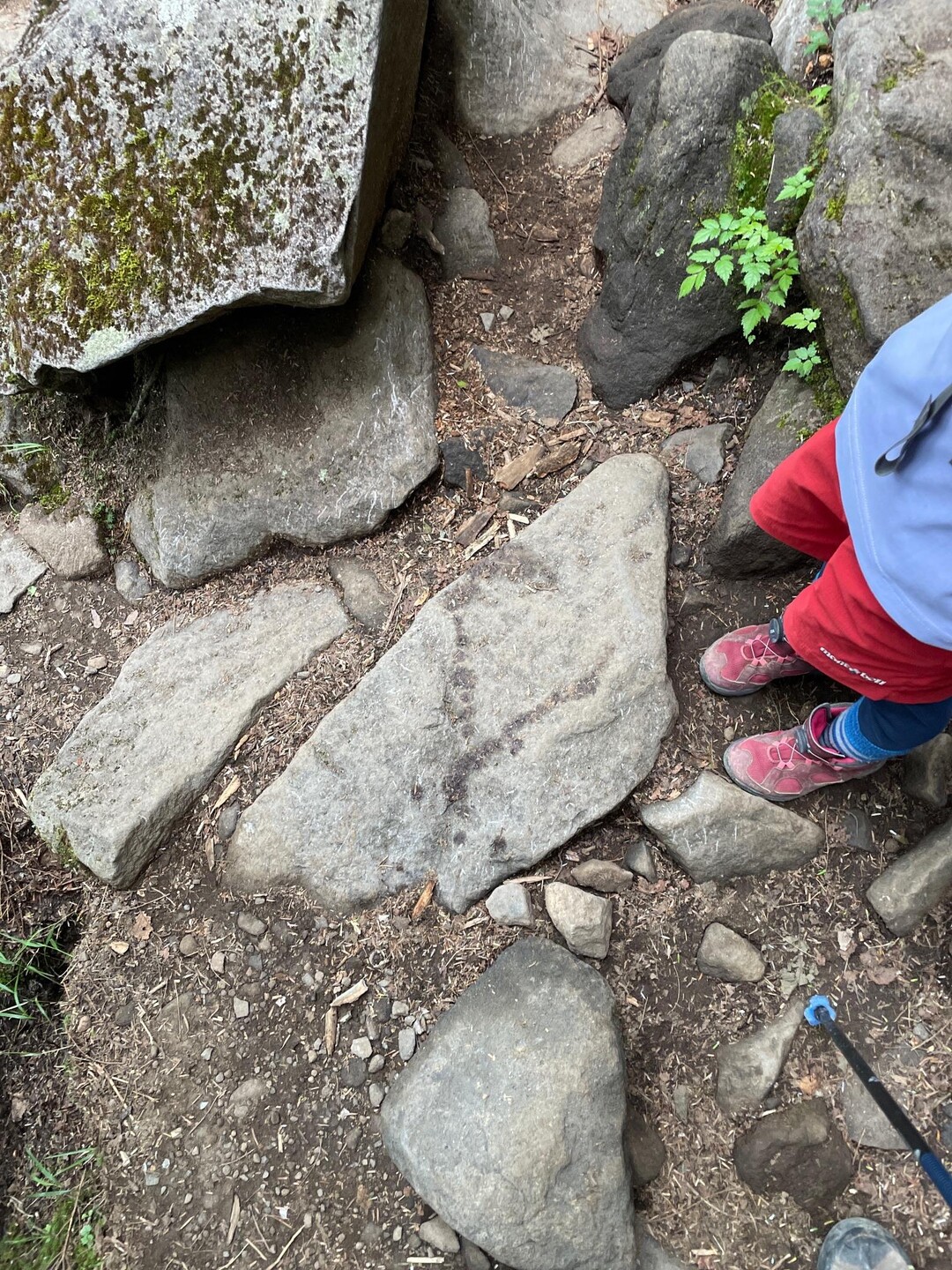 Mt.ZAKIさんの投稿したフィールドメモ | YAMAP / ヤマップ