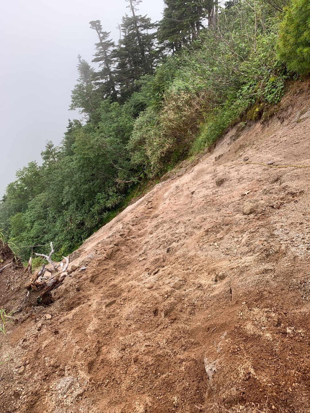 Pokiさんの投稿したフィールドメモ | YAMAP / ヤマップ