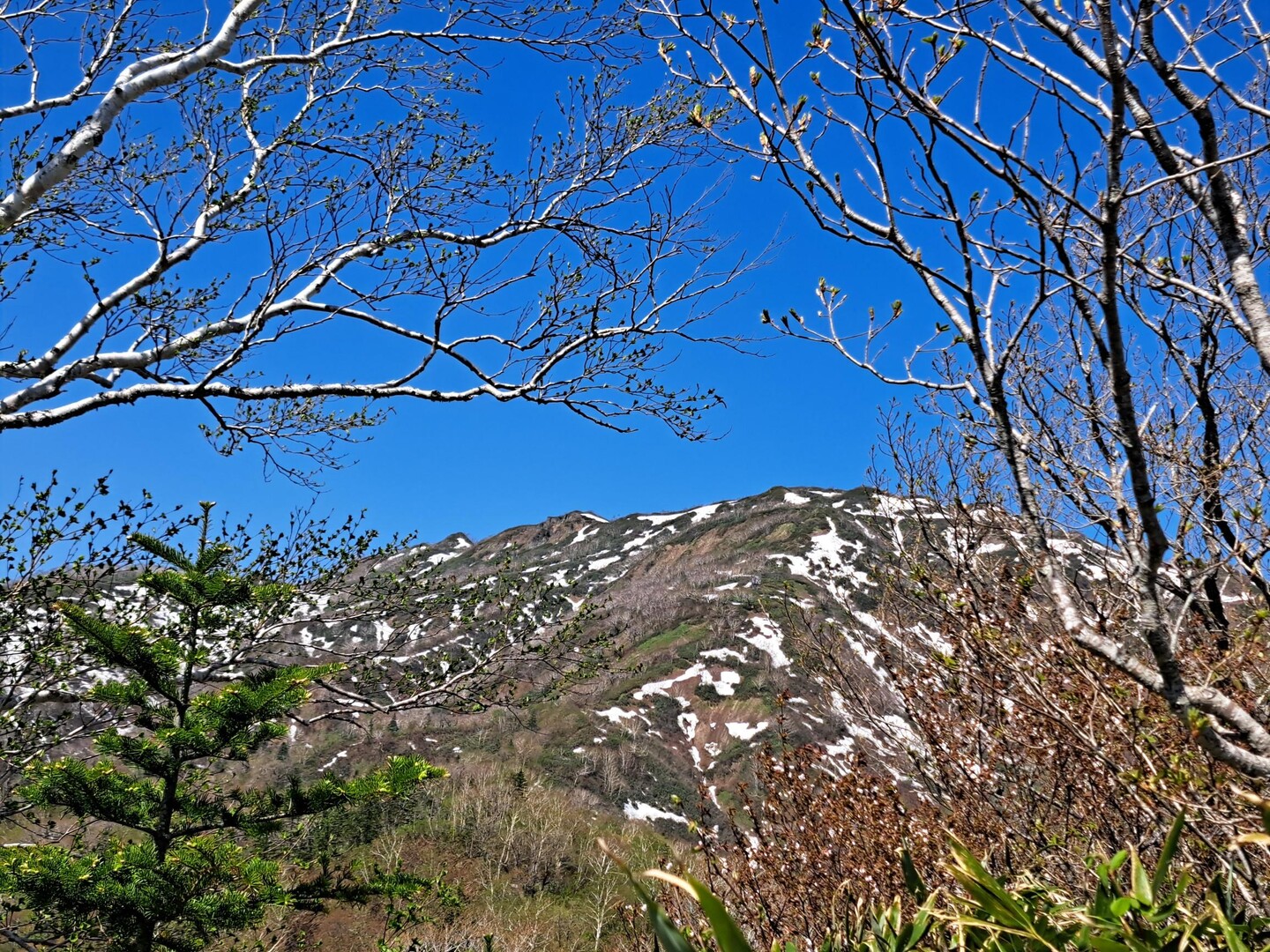 三頭山 / nomさんの三頭山の活動データ | YAMAP / ヤマップ