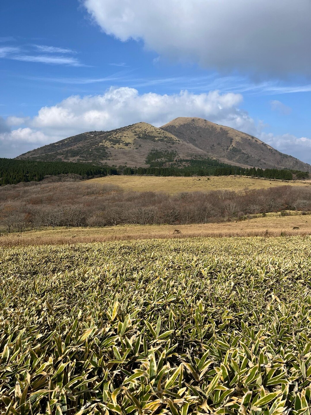 一目山・みそこぶし山・女岳・涌蓋山 / big treeさんの涌蓋山・猟師山の活動データ | YAMAP / ヤマップ