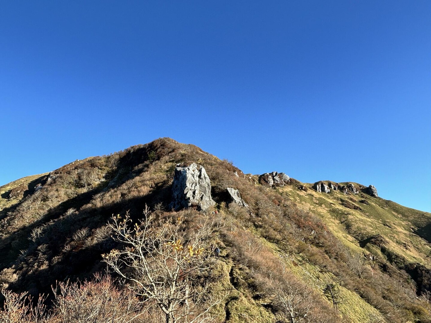 四国二百名山巡り − 三嶺から四国山地サーキット ⛰️⛰️ / KIYAtさんの三嶺・天狗塚・石立山の活動データ | YAMAP / ヤマップ