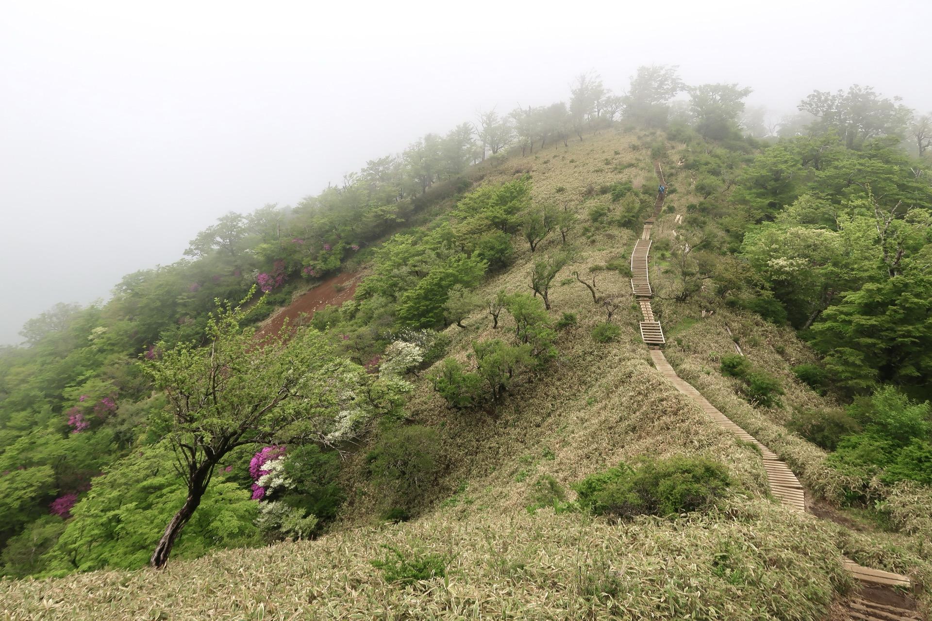 ついに！タントン！ / heeさんの塔ノ岳・丹沢山・蛭ヶ岳の活動データ | YAMAP / ヤマップ