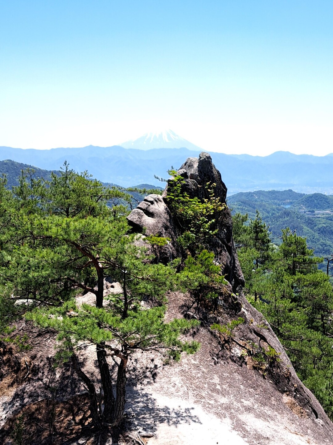 鷹の巣山・白砂山・弥三郎岳（羅漢寺山）山歩 / ふG3さんの弥三郎岳（羅漢寺山）の活動データ | YAMAP / ヤマップ