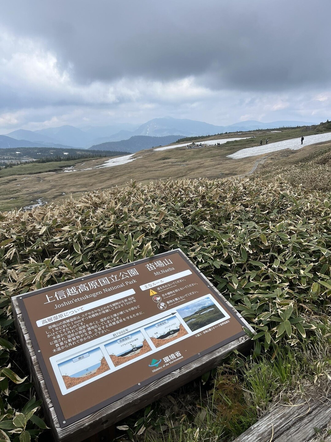 苗場山・龍ノ峰 / Richさんの苗場山・赤倉山・佐武流山の活動データ | YAMAP / ヤマップ