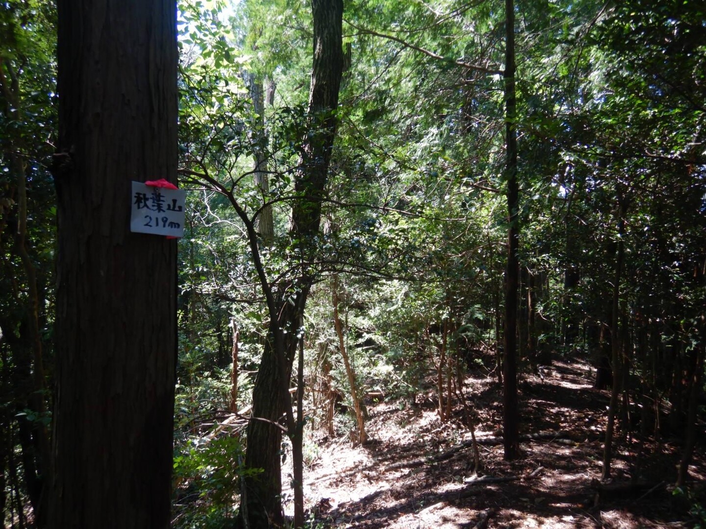 ken-3さんの投稿したフィールドメモ | YAMAP / ヤマップ