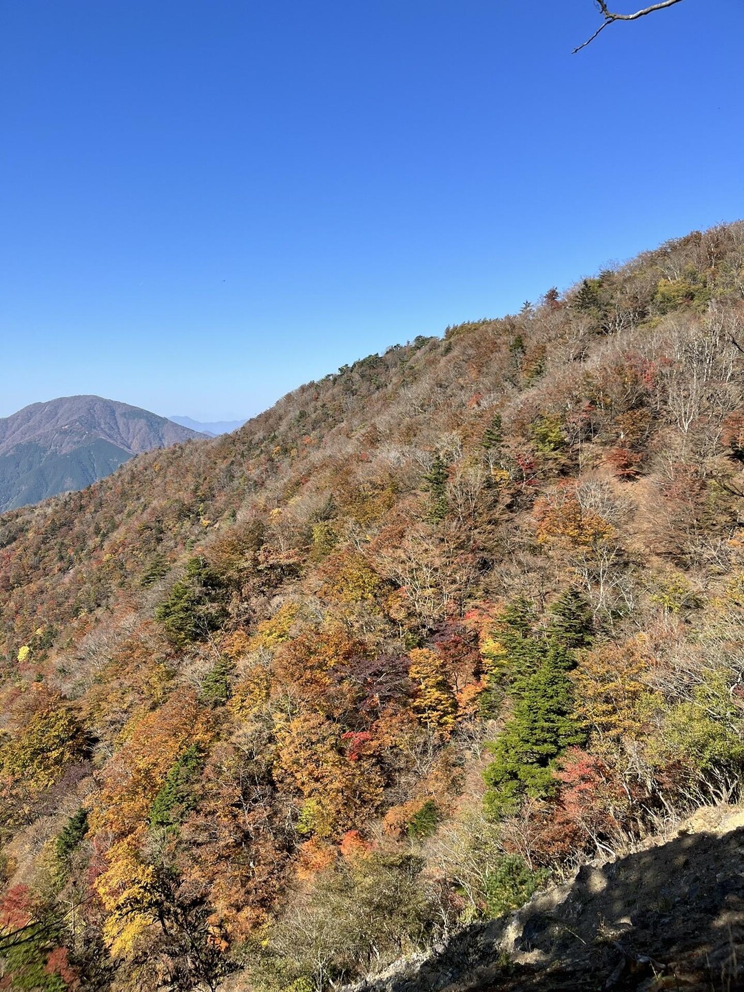 焼山登山口～蛭ヶ岳・丹沢山・塔ノ岳 / so!yo!さんの塔ノ岳・丹沢山・蛭ヶ岳の活動データ | YAMAP / ヤマップ