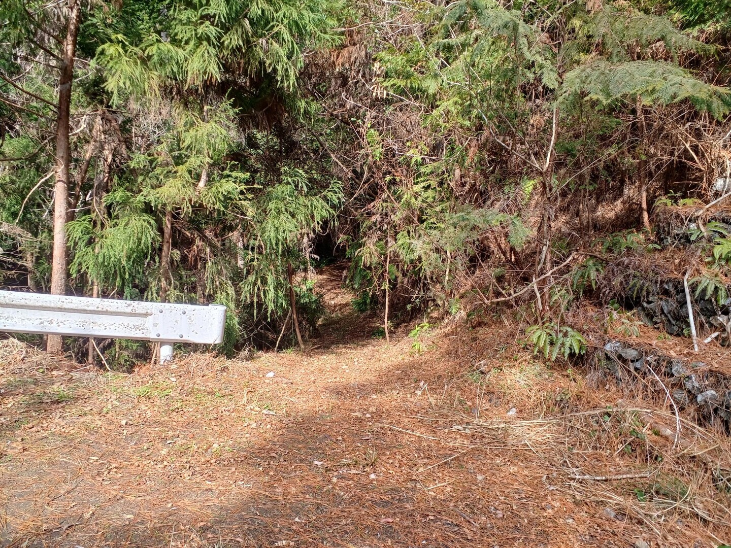 Te ruさんの投稿したフィールドメモ | YAMAP / ヤマップ